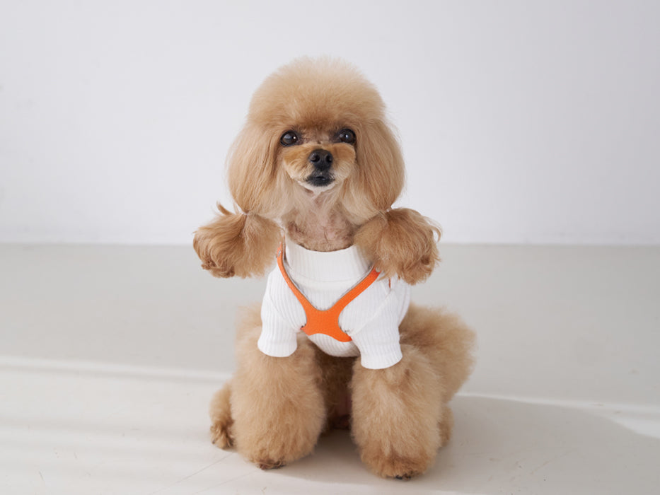 Luxury Fireball Harness – Dog Valentine Limited